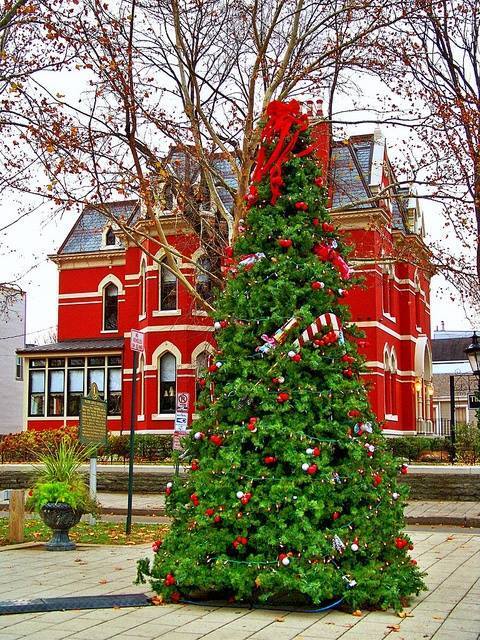 Mainstrasse Village Holiday Events Guide - LINK nky