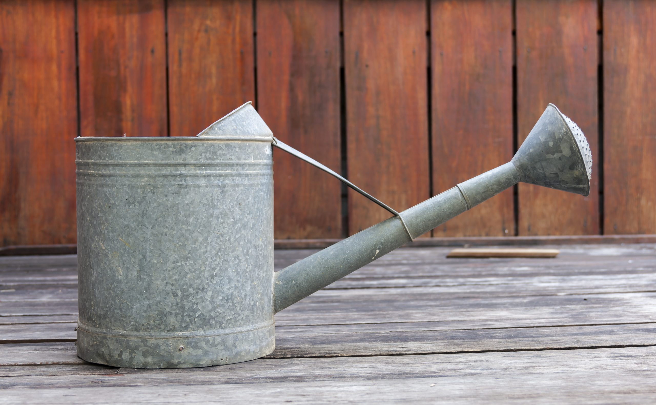 It's Our Landscape: 3 Tips to Use Less Water - LINK nky