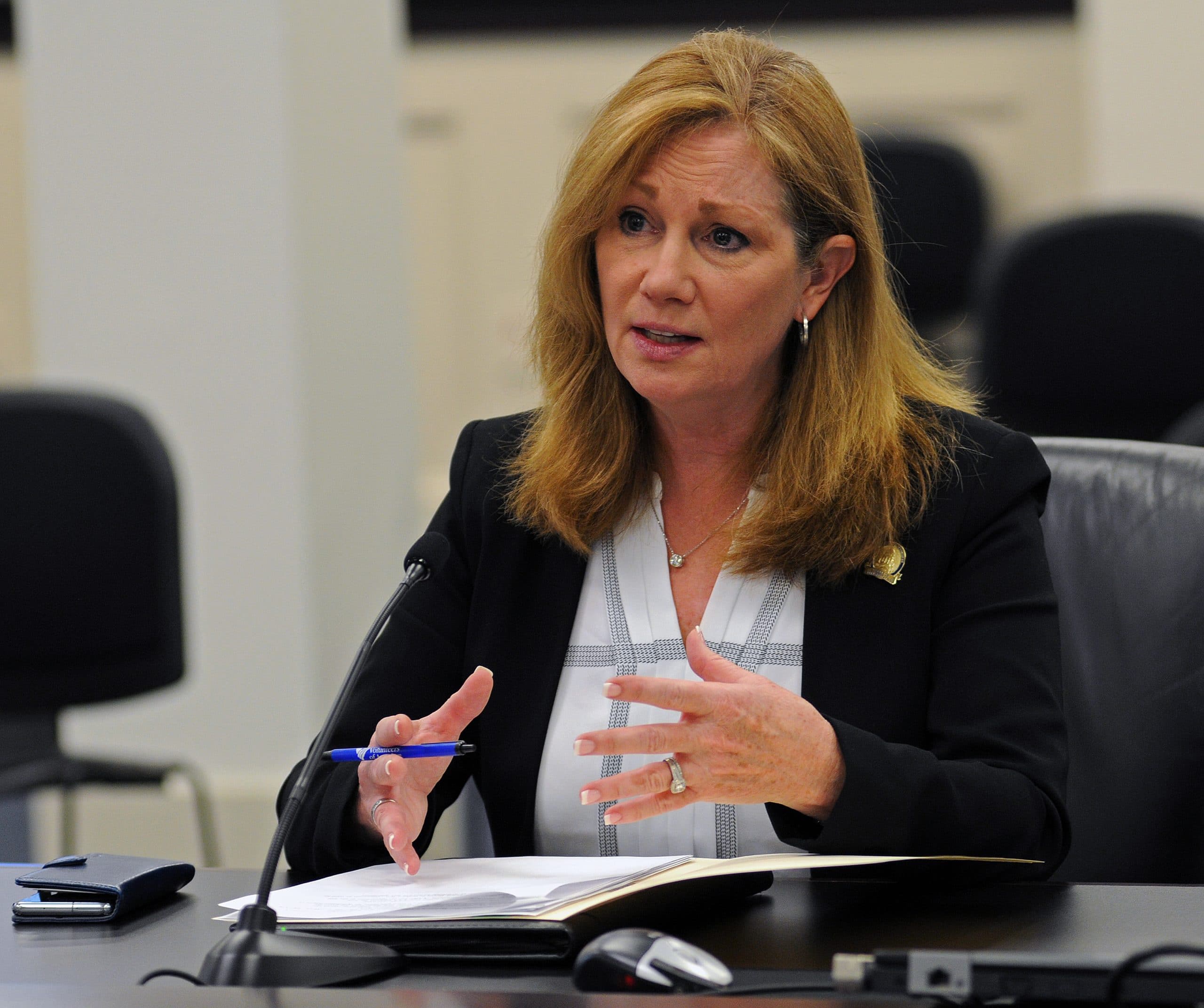 House District 64 preview: Rep. Kim Moser vs. Anita Isaacs - LINK nky