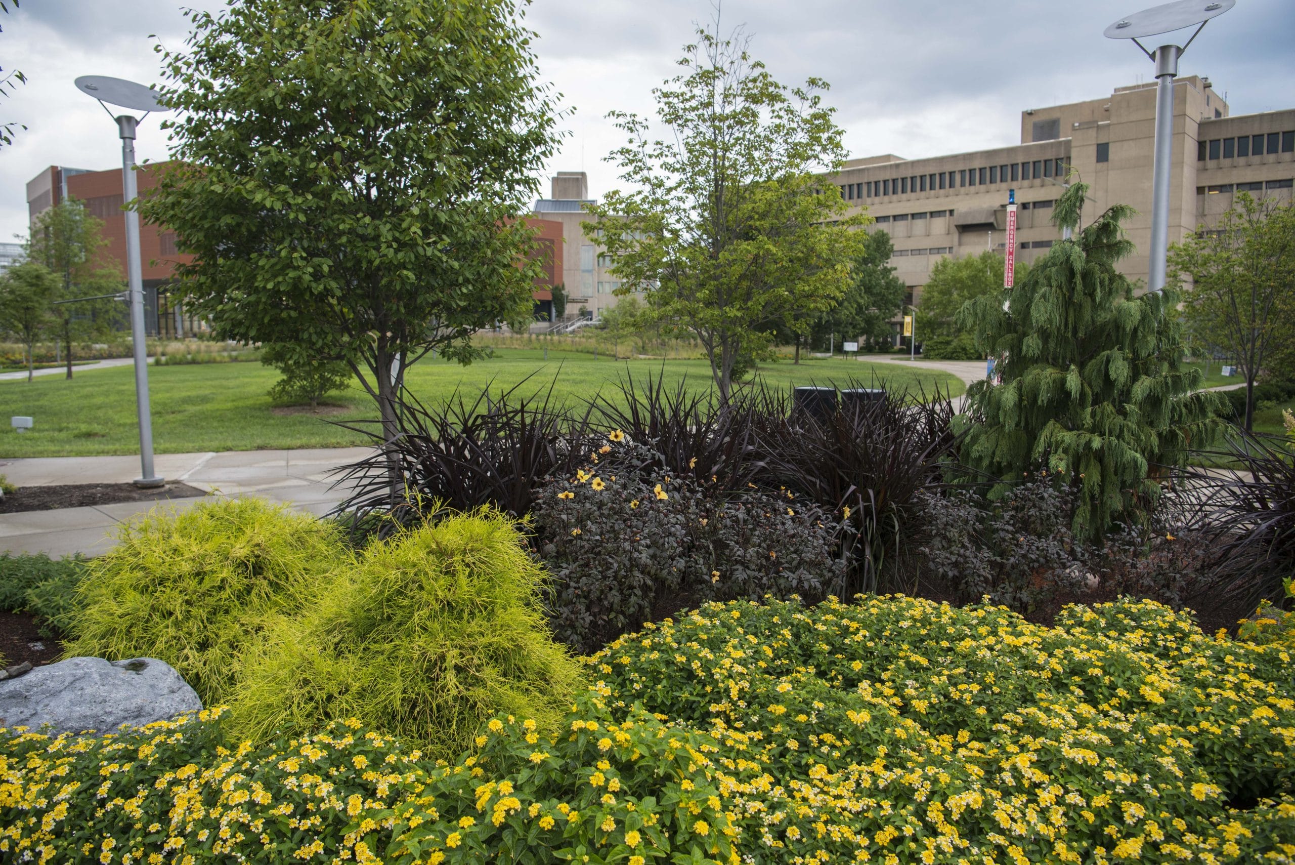 NKU Chase Law Adds Additional Legal Studies Track - LINK nky