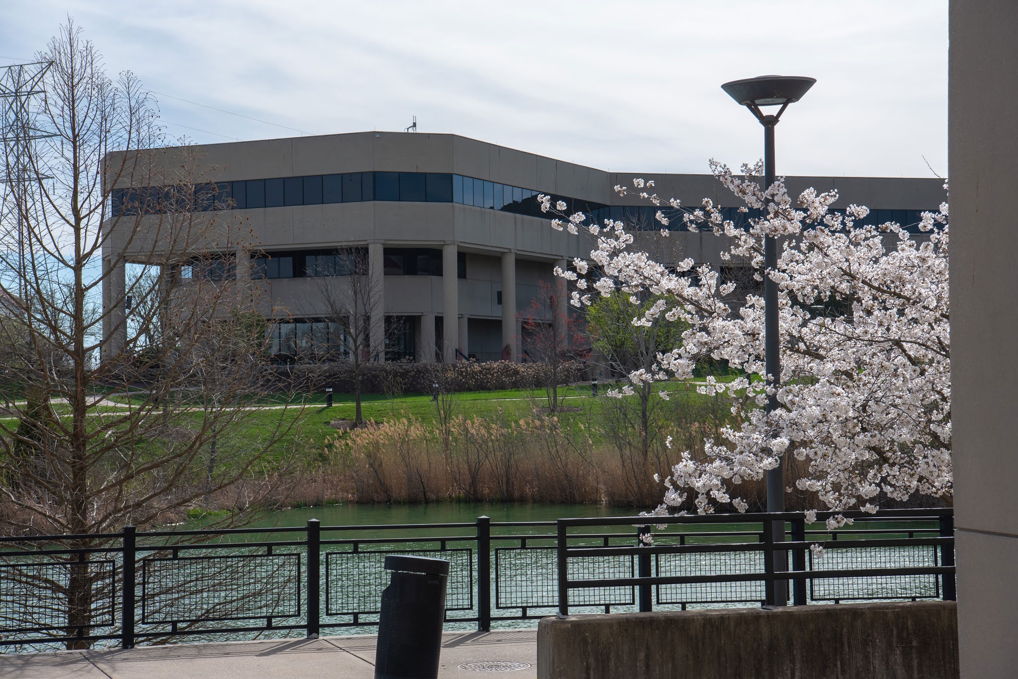 NKU Business Programs Celebrated Among World’s Best - LINK nky