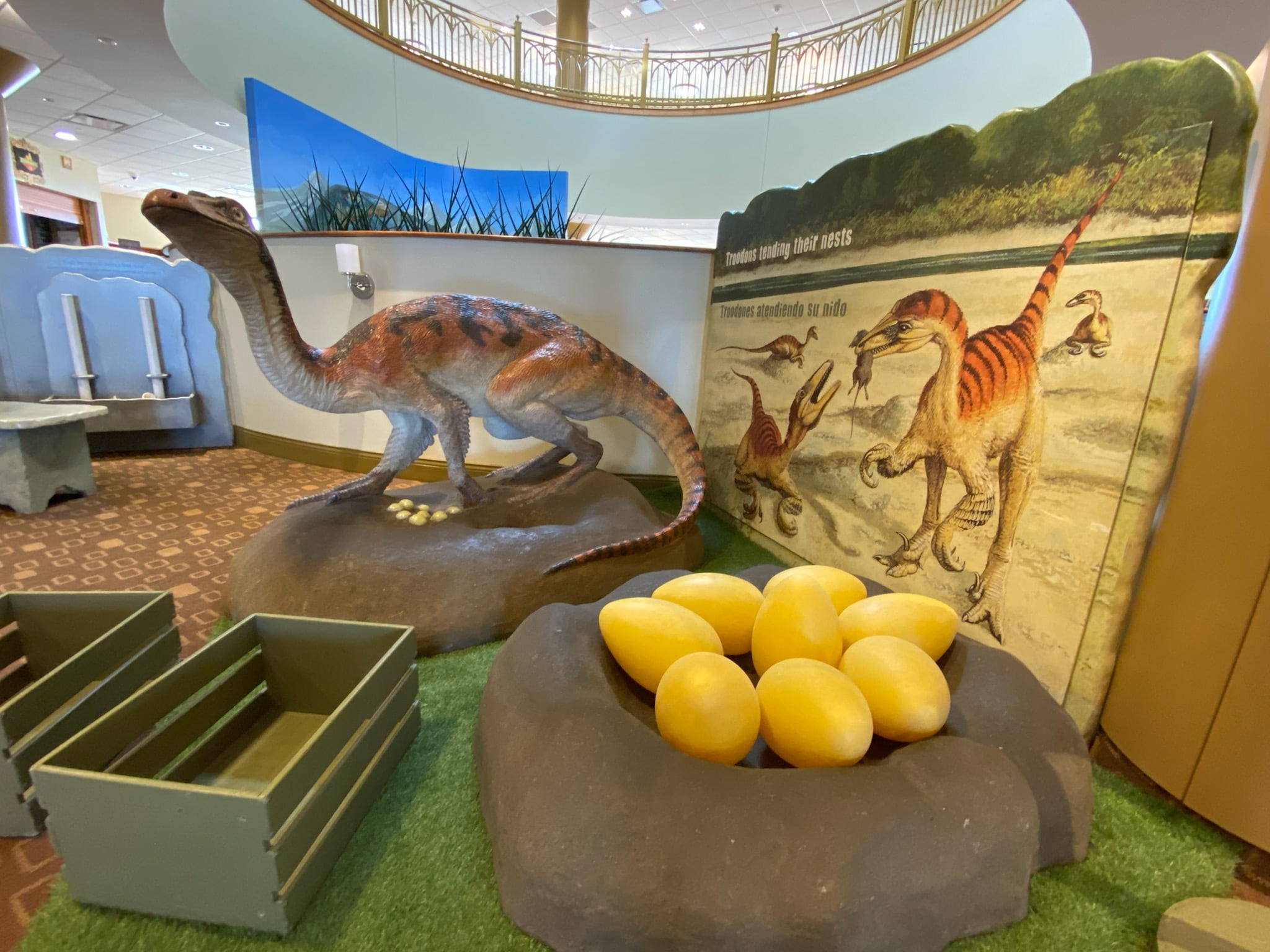 Boone Library Opens Dinosaur Exhibit - LINK nky
