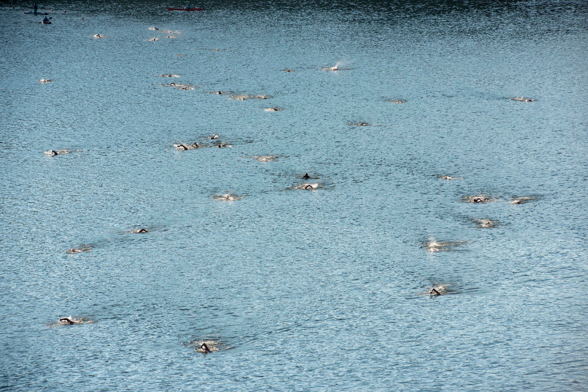 Photos: Great Ohio River Swim - LINK nky
