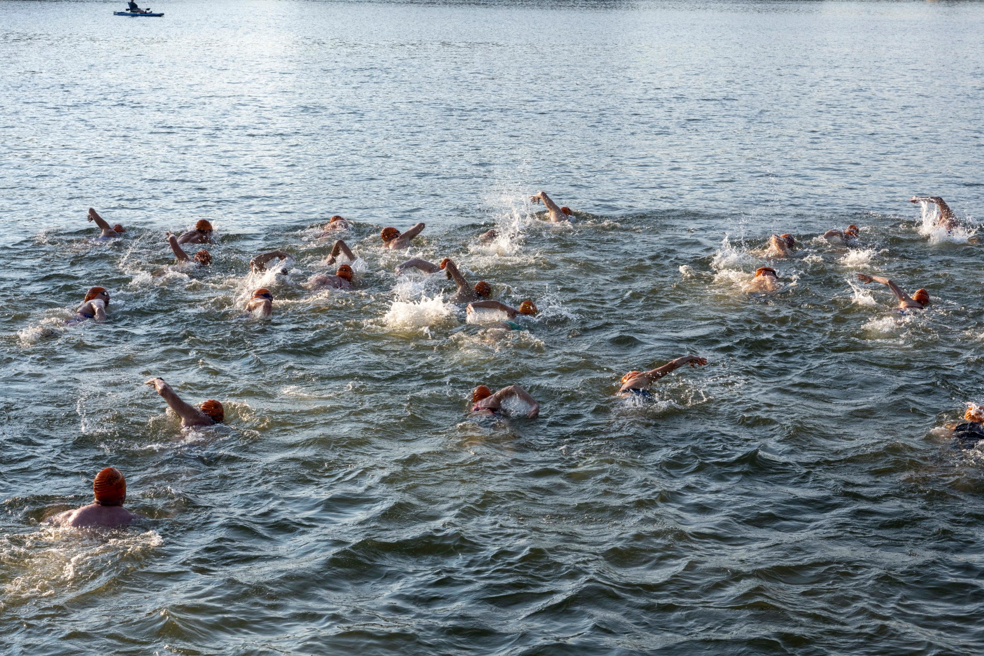 Photos: Great Ohio River Swim - LINK nky