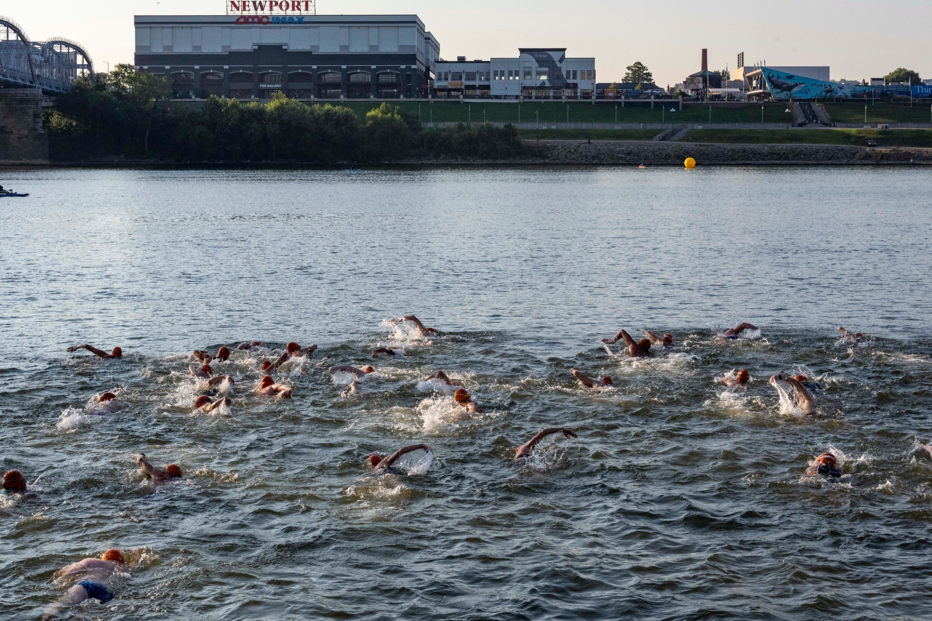 Photos: Great Ohio River Swim - LINK nky