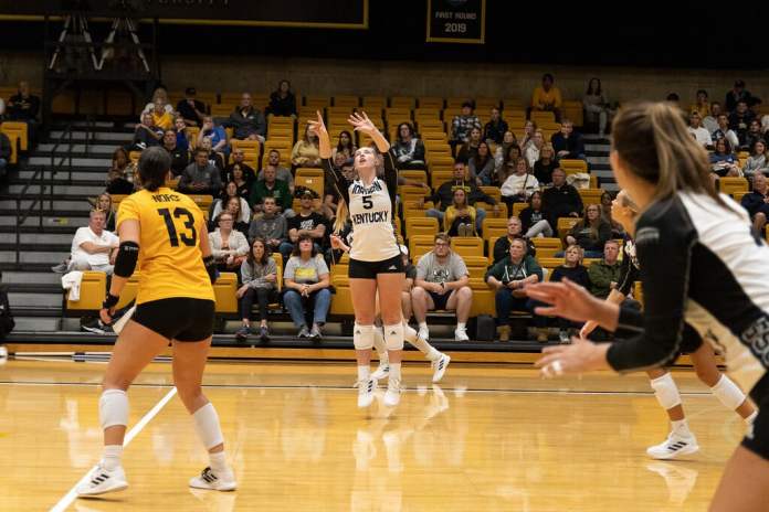 NKU sports round-up: Norse volleyball owns second place in Horizon ...
