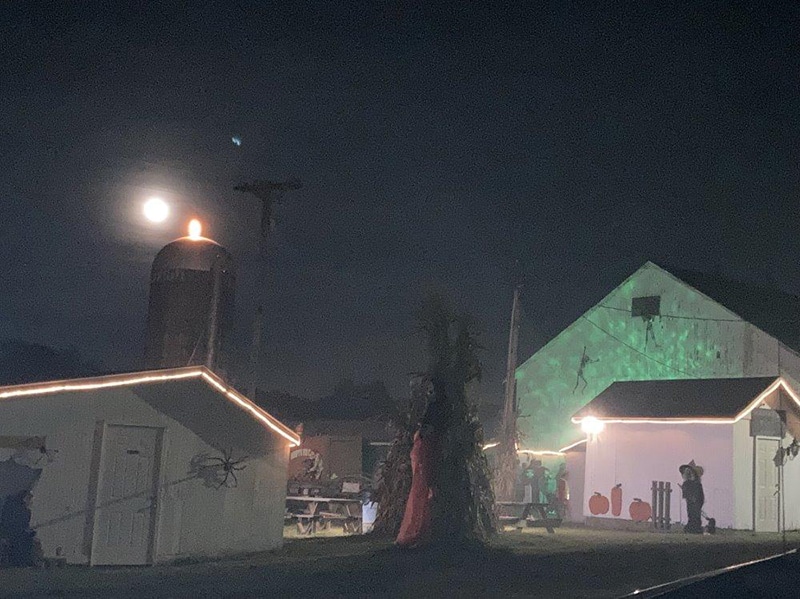 Sandyland Acres dares you to take a ride in the cornfield - LINK nky