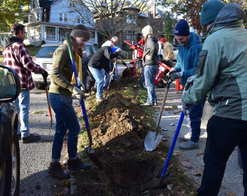Covington to celebrate Arbor Day with tree planting, celebration - LINK nky