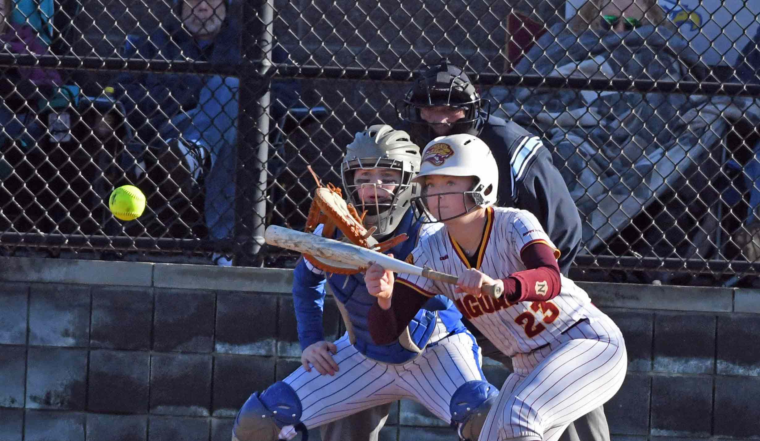 Cooper softball triumphs over Scott in 14-4 five-inning matchup - LINK nky