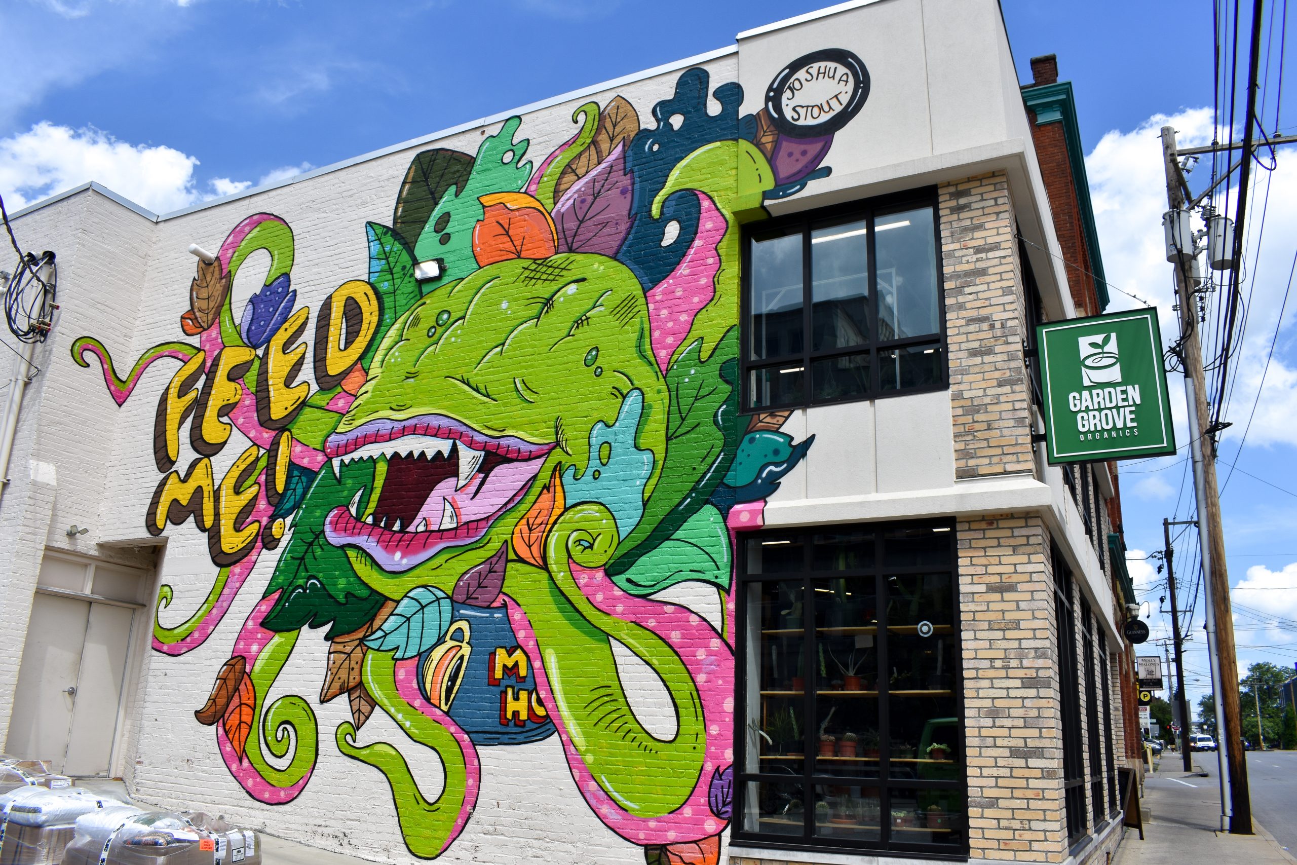 Northern Kentucky's vibrant mural art celebrates local history - LINK nky