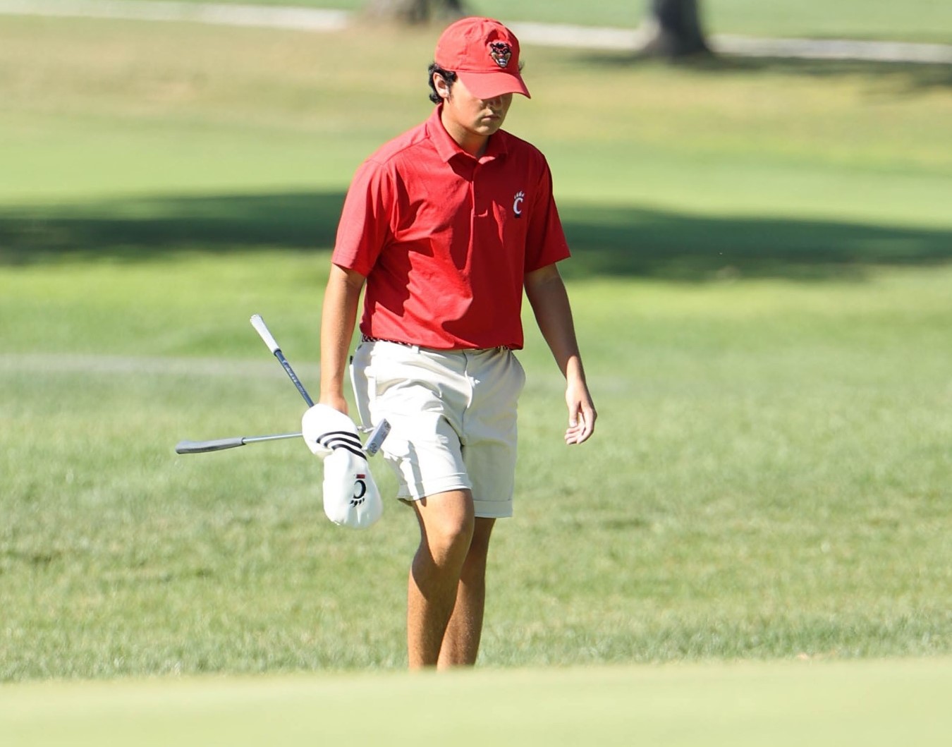 Northern Kentucky golfers advance to round of 16 at Tony Blom - LINK nky