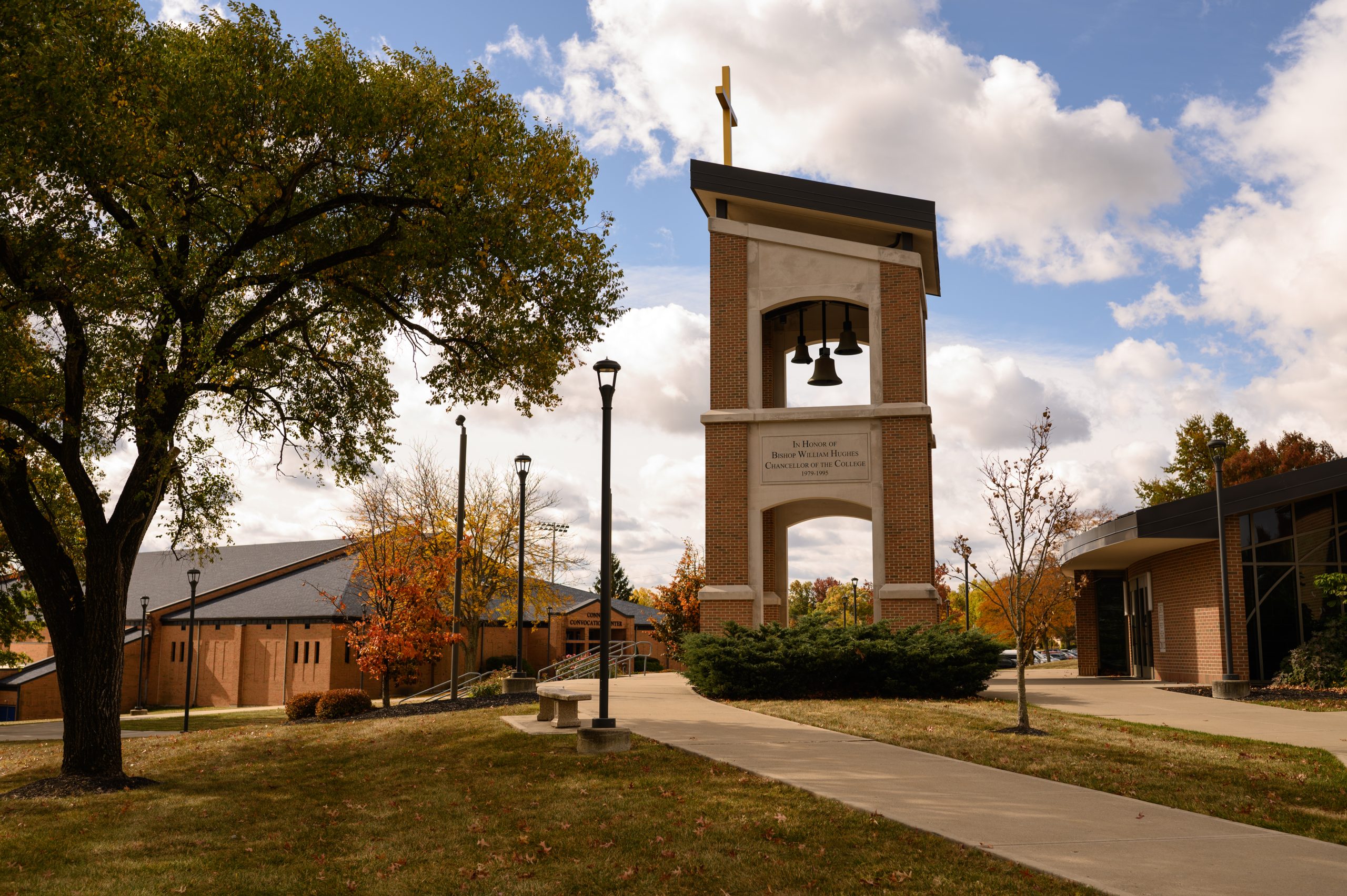 Press release: Thomas More University appoints three new trustees ...