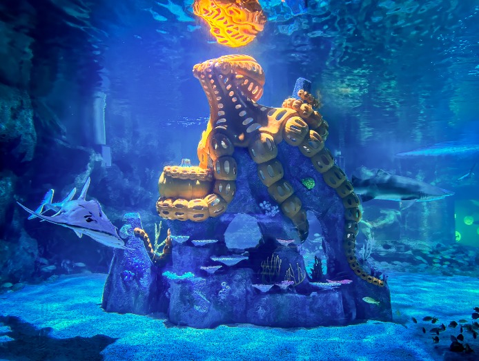 Newport Aquarium unveils underwater pumpkin glow exhibit - LINK nky