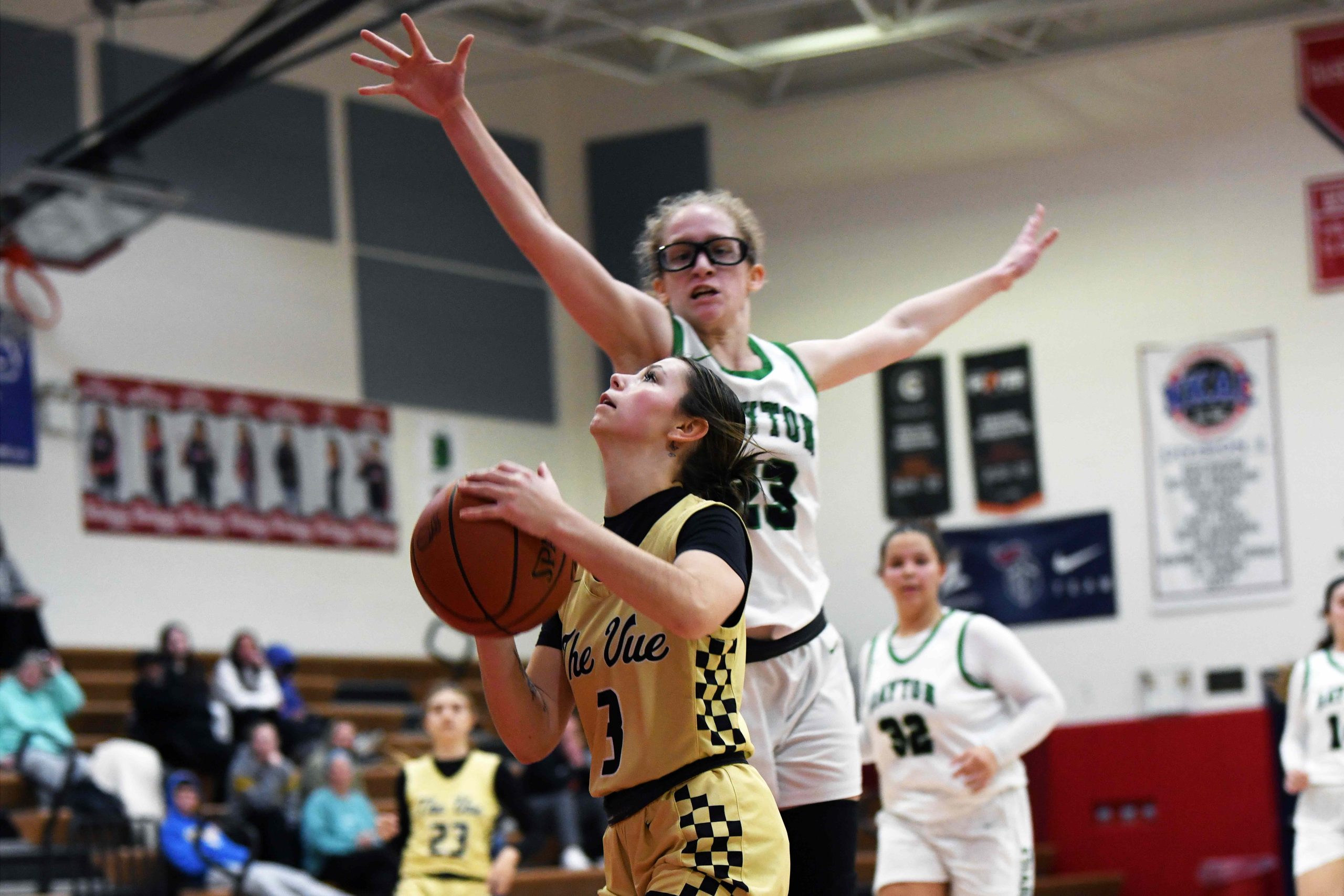Griffin Elite Basketball Classic, Green's milestone and statewide stats ...
