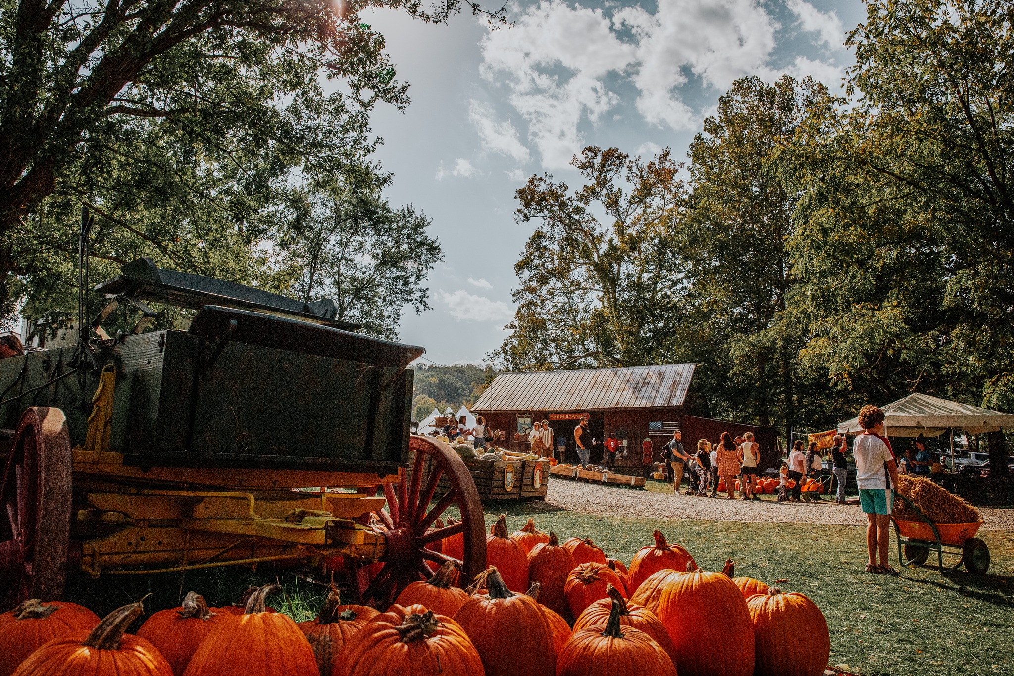 Your guide to NKY fall festivals, farms and frights - LINK nky