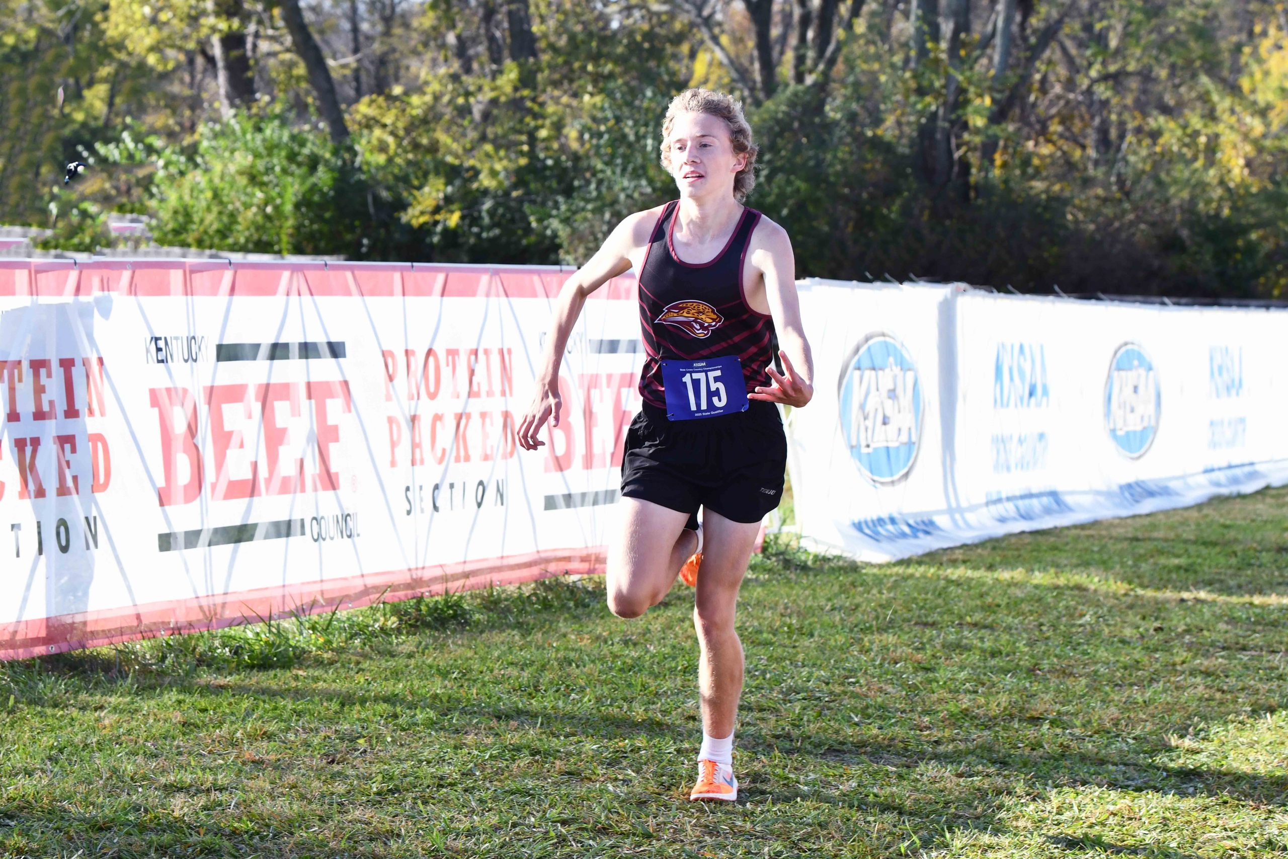 Cooper's Paul Van Laningham repeats as state cross country champ